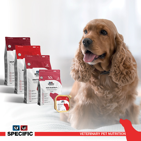 SPECIFIC Veterinary Pet Nutrition - foder med höga nivåer Omega-3 för ...