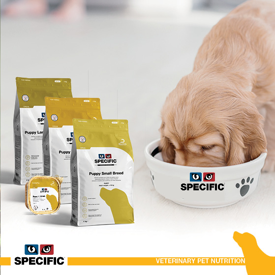 SPECIFIC Veterinary Pet Nutrition - foder med højt indhold af omega-3 ...