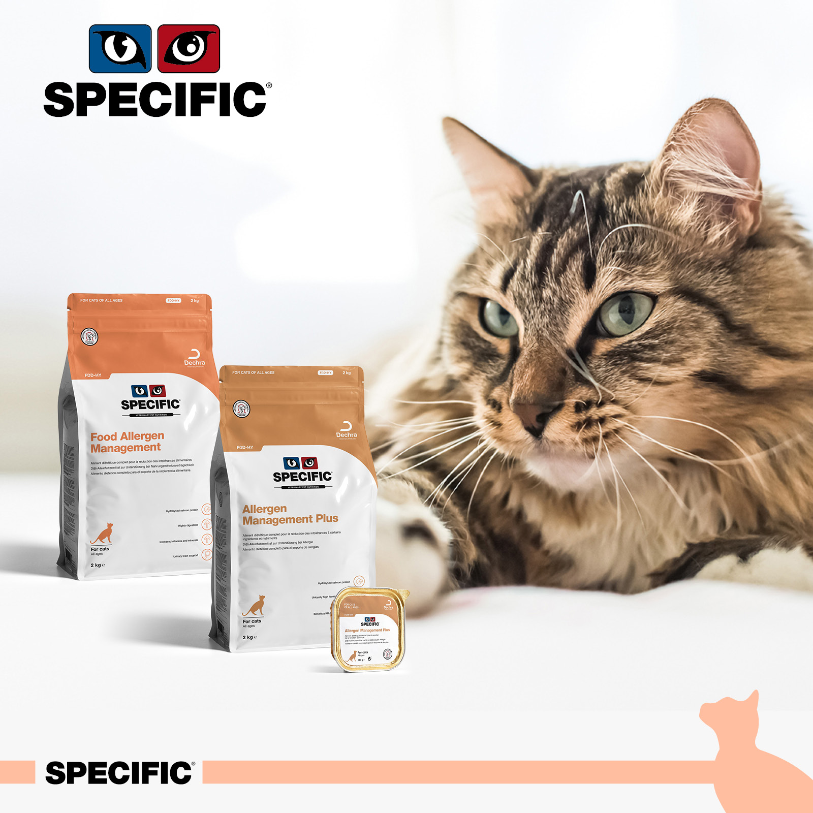 Marknadsmaterial Dermatologi