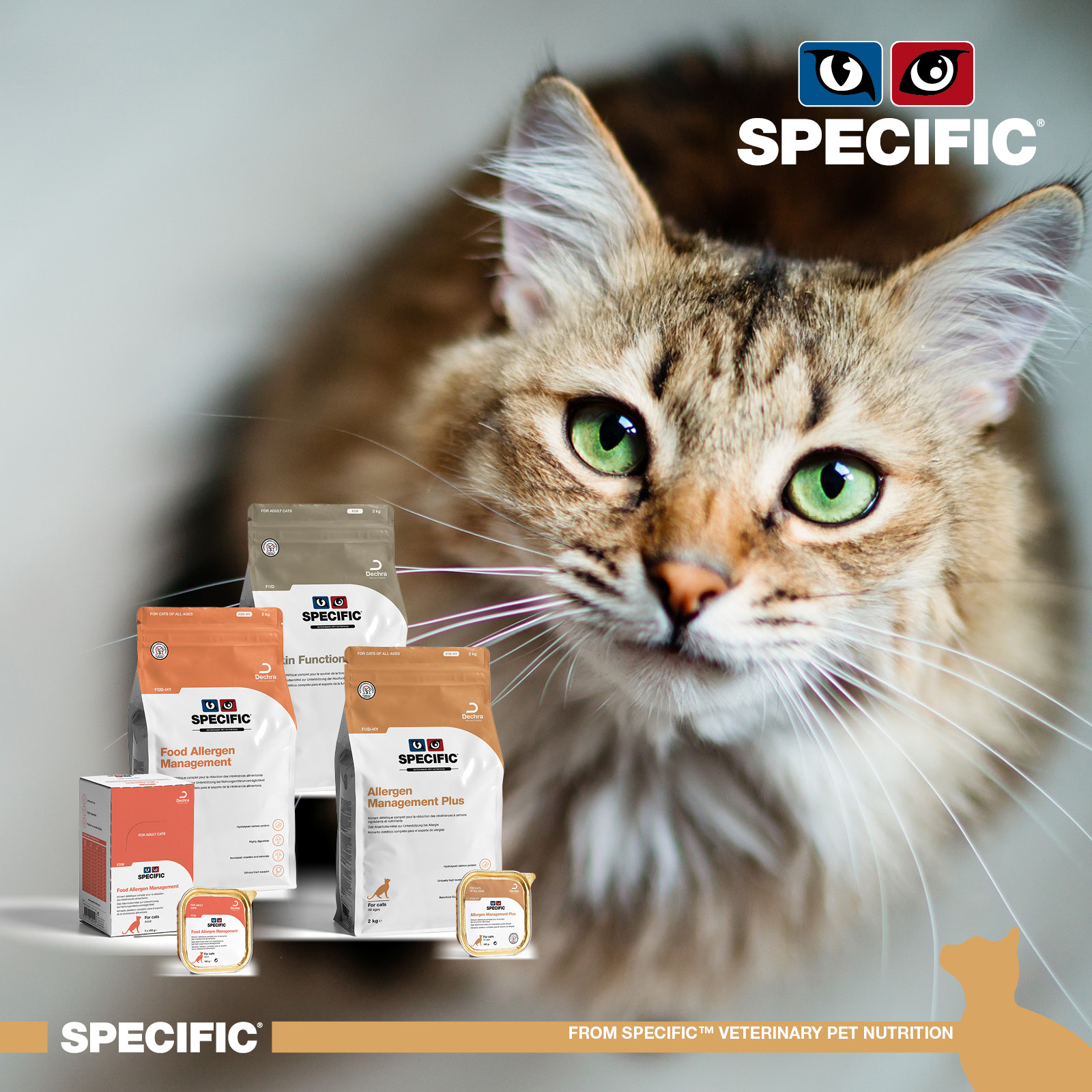 Marknadsmaterial Dermatologi