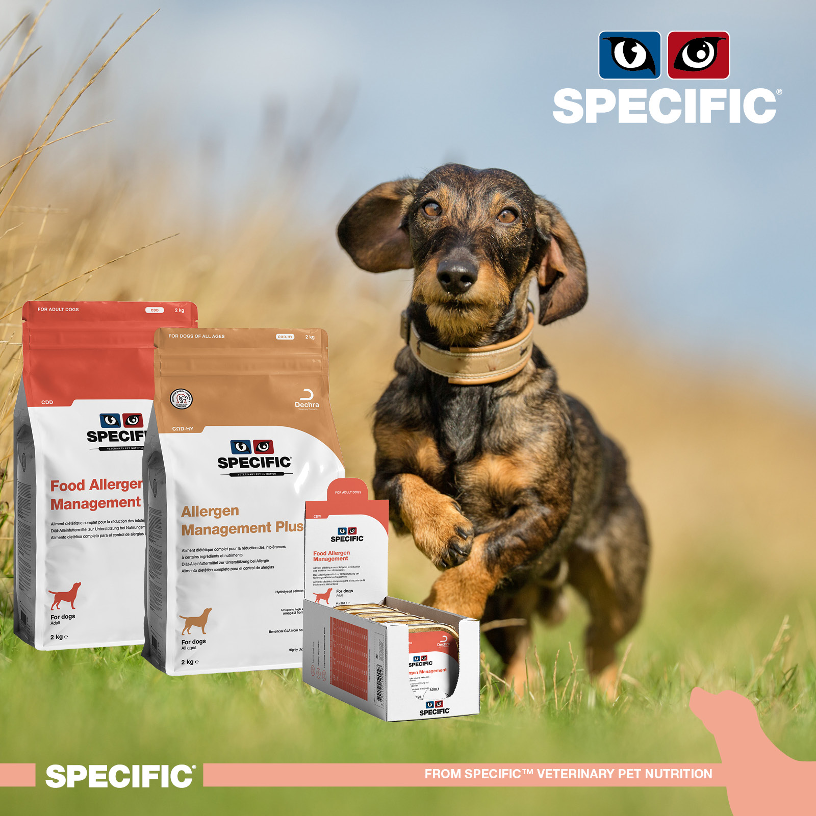 Marknadsmaterial Dermatologi