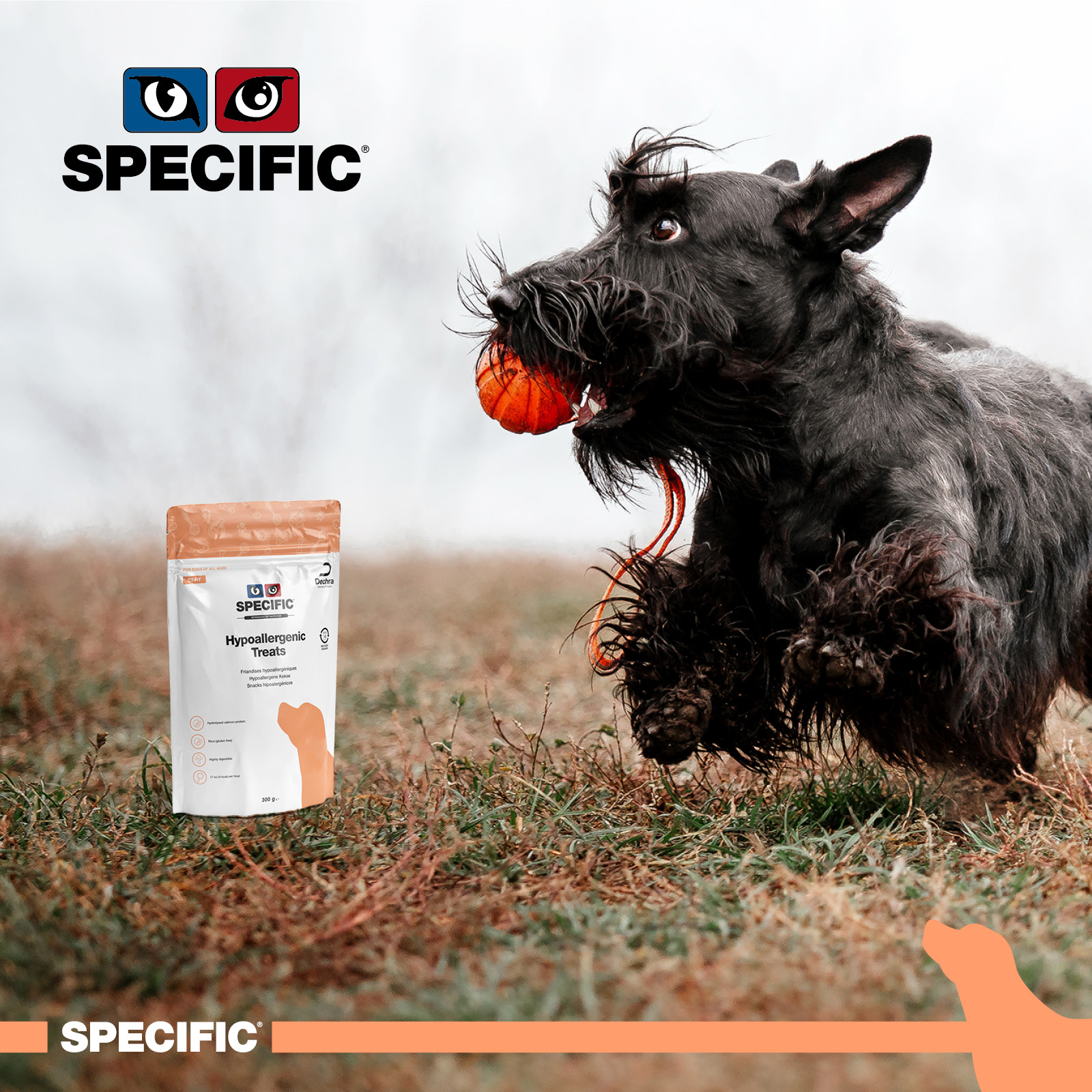 Marknadsmaterial Dermatologi