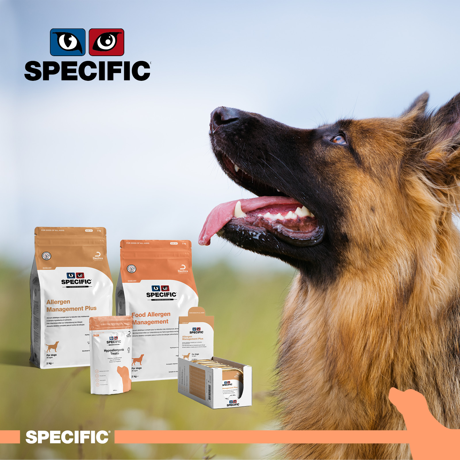 Marknadsmaterial Dermatologi