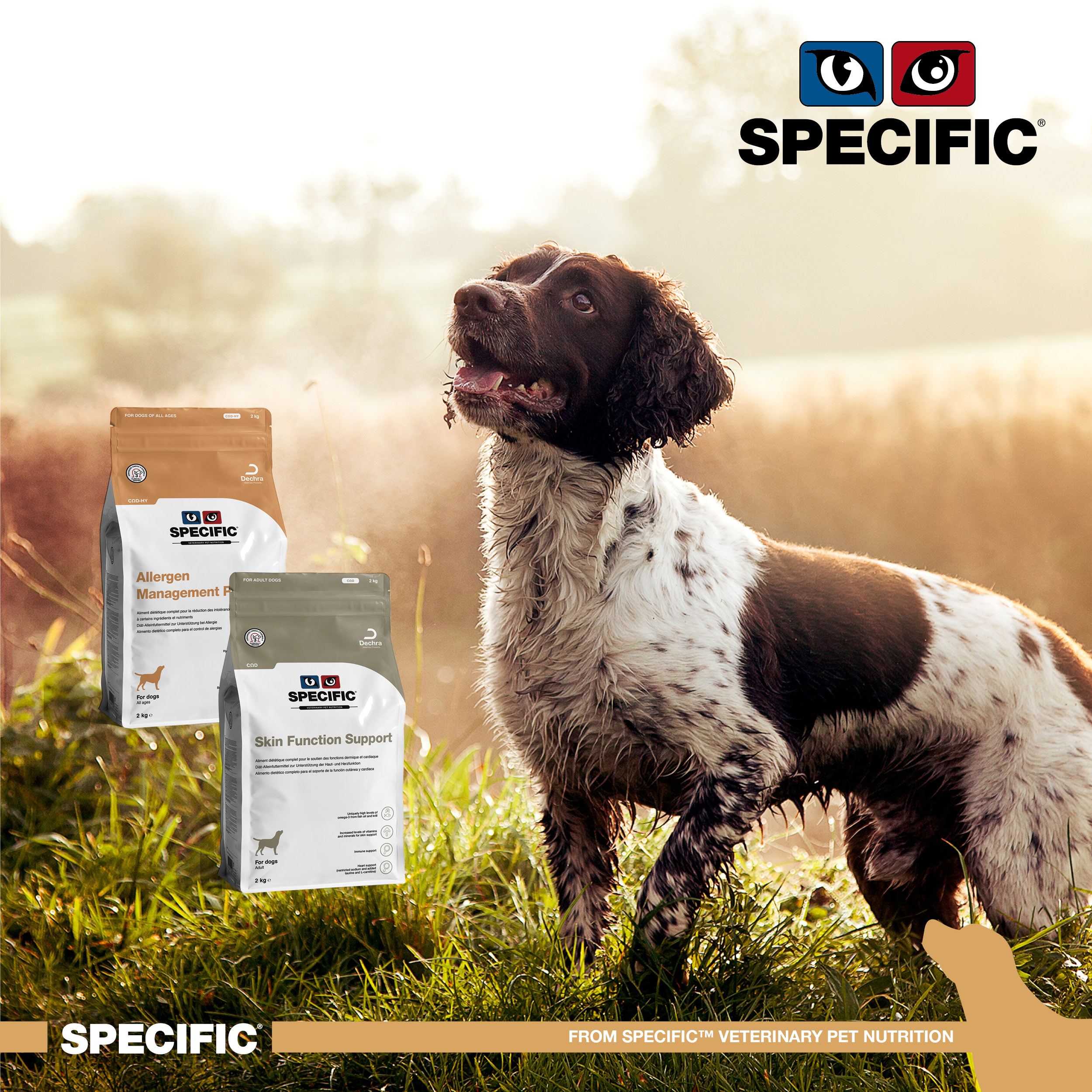 Marknadsmaterial Dermatologi